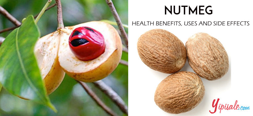 Nutmeg – Introduction, What are the Health Benefits, Uses, and Side Ef – YipiSale