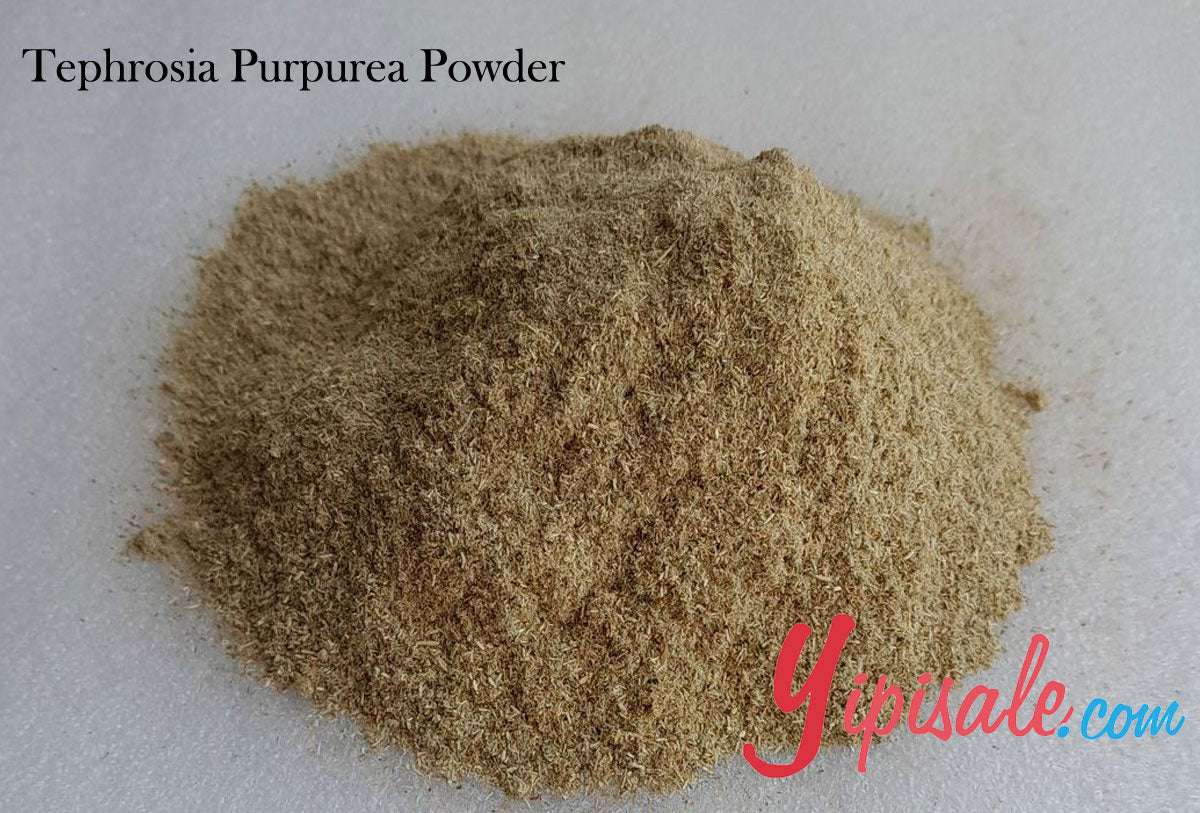 Buy Bulk 20 Kg Tephrosia Purpurea Powder, Wild Indigo, 705 oz. – YipiSale